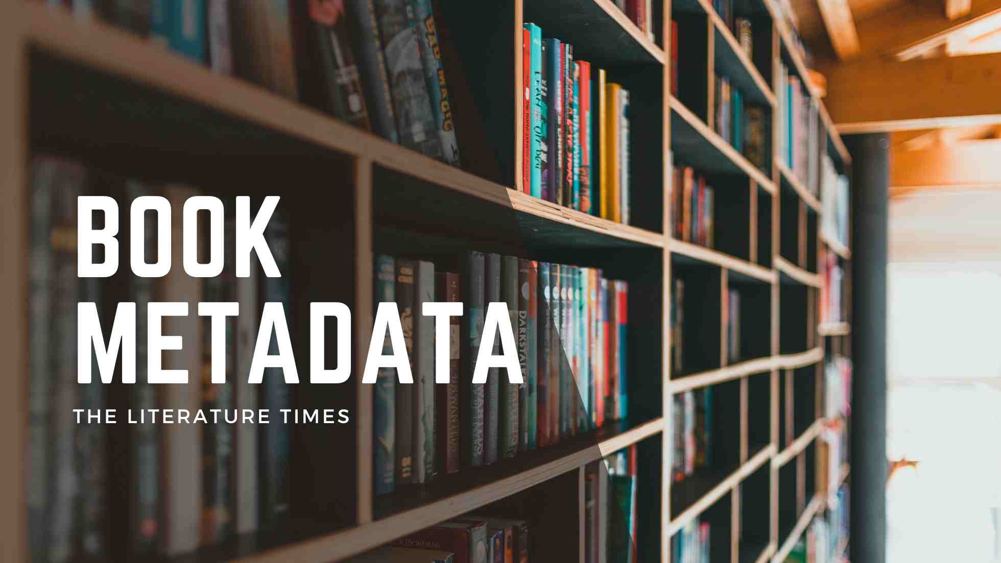 Understanding Book Metadata: The Key to Better Discoverability and ...